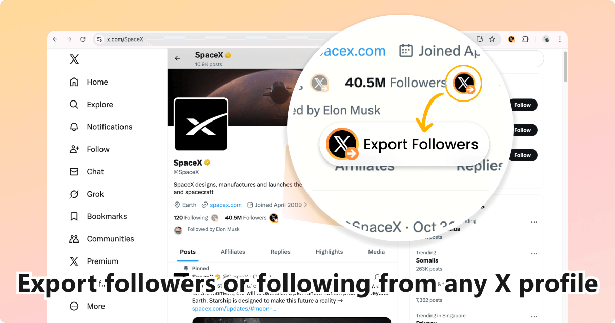 X Follow Exporter – Export X/Twitter Followers & Following to CSV/Excel
